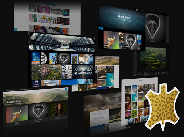 Skins - Customize your Online Photo Albums - jAlbum.net